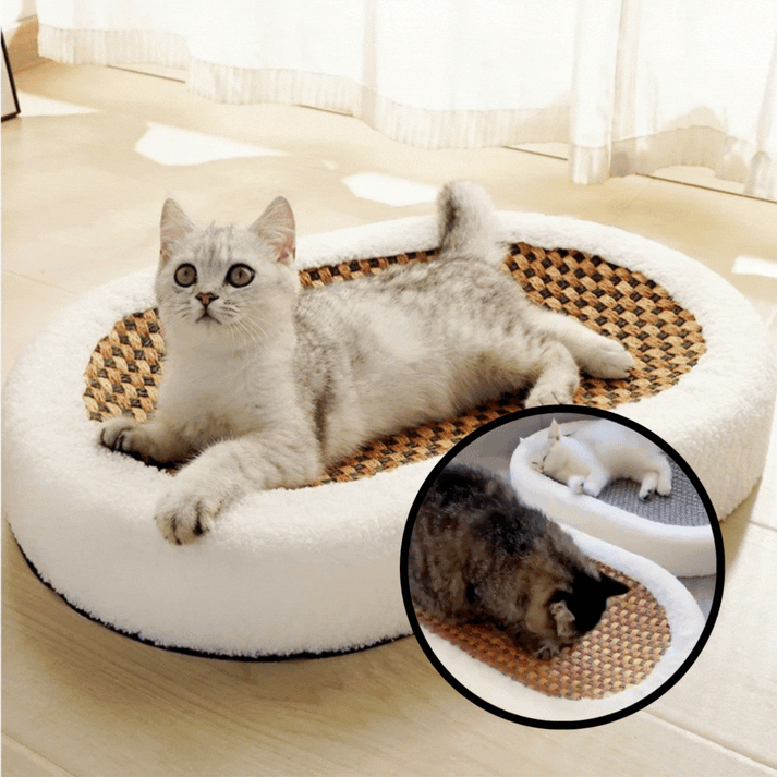 50% Discount | Cat Scratch Lounge™ - Plush Bed with Scratchable Surfac ...